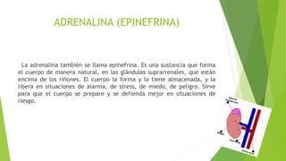 GLANDULAS_SUPRARRENALES.pptx