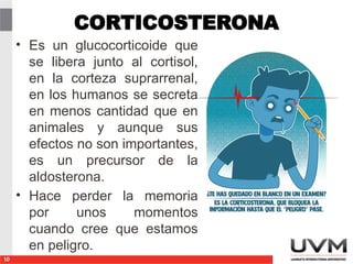 GLaNDULAS_SUPRARRENALES. concepto etiologia clasificación | PPTX