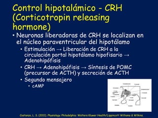 Glandula suprarrenal | PPTX