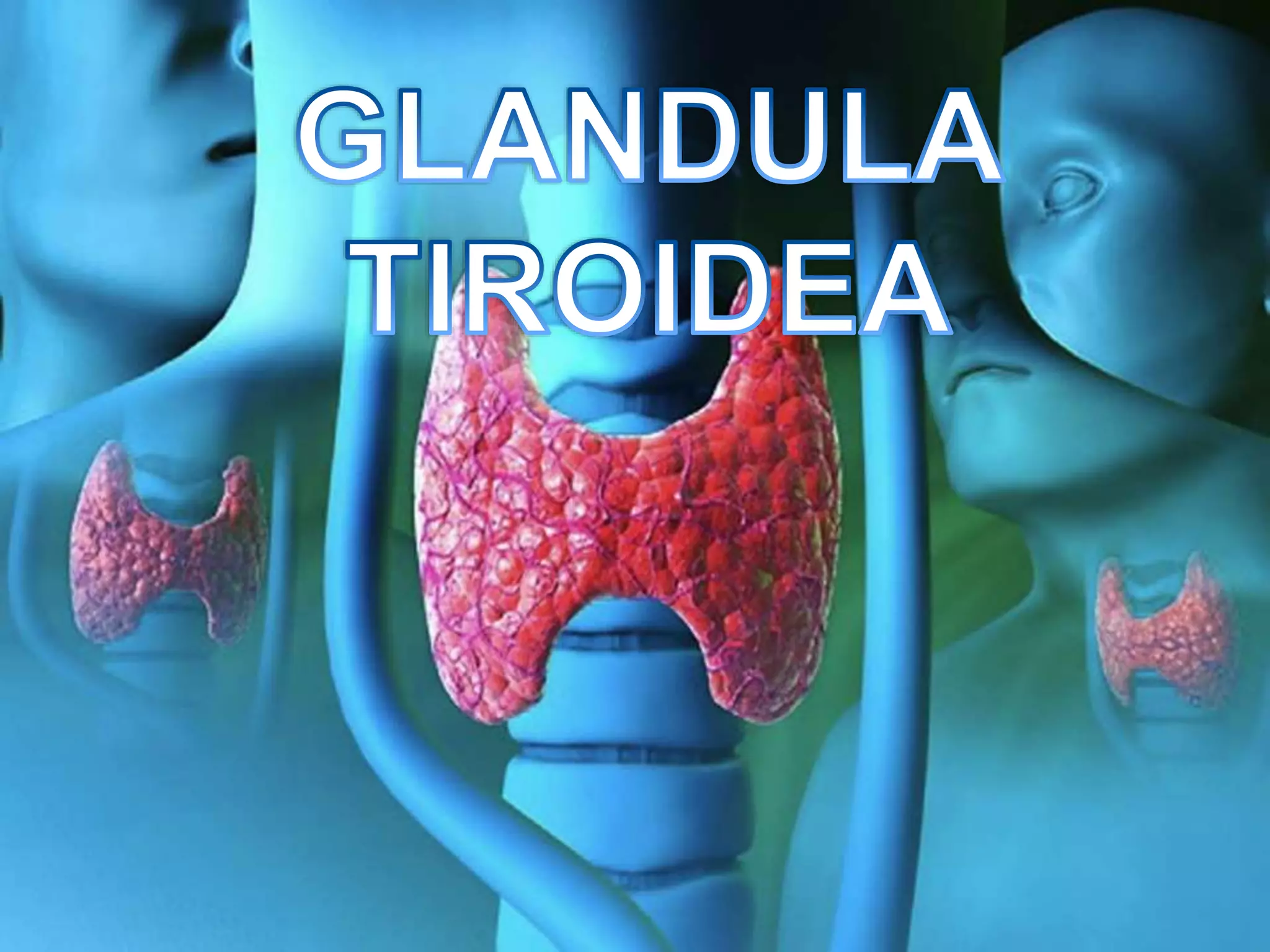 Glandula tiroides | PPT