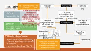 GLANDULA TIROIDES Y PARATIROIDES.pptx