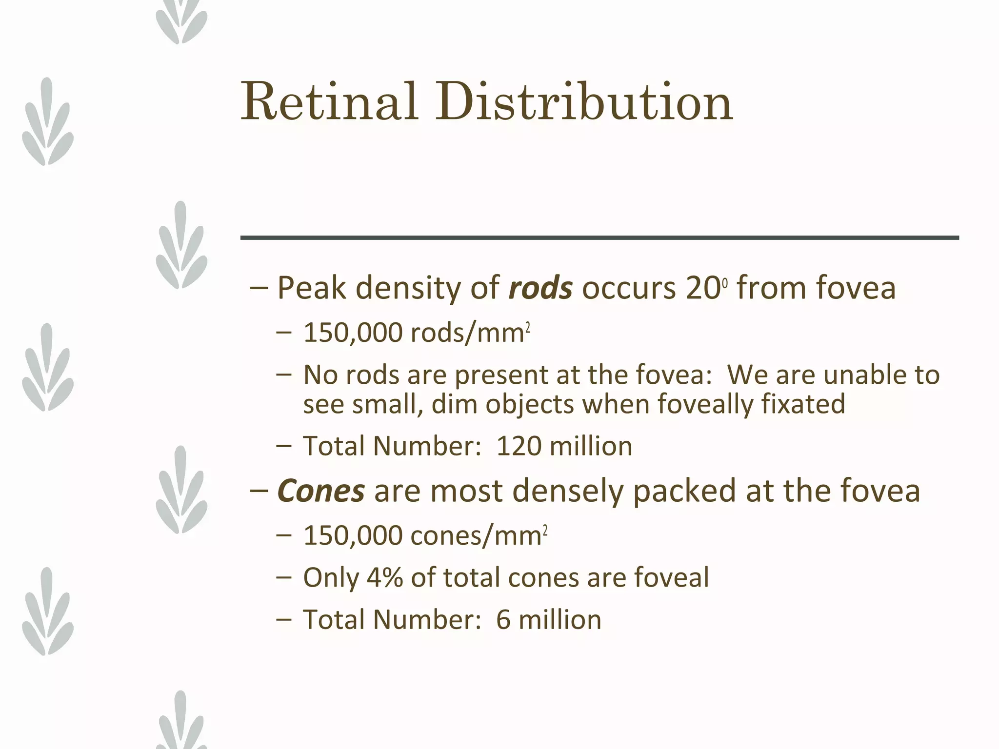 Glare testing and dark adaptation | PPT