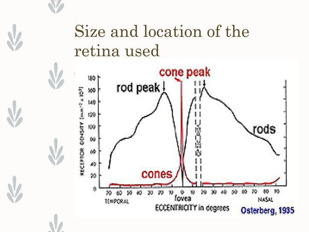 Glare testing and dark adaptation | PPT