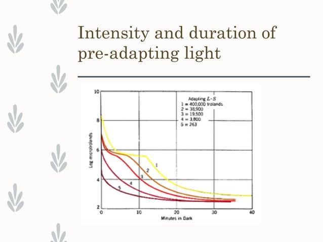 Glare Testing And Dark Adaptation Ppt