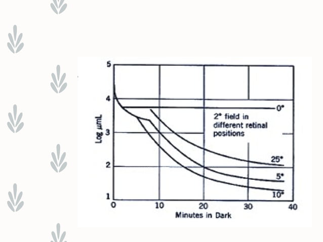 Glare Testing And Dark Adaptation Ppt