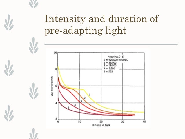 Glare testing and dark adaptation