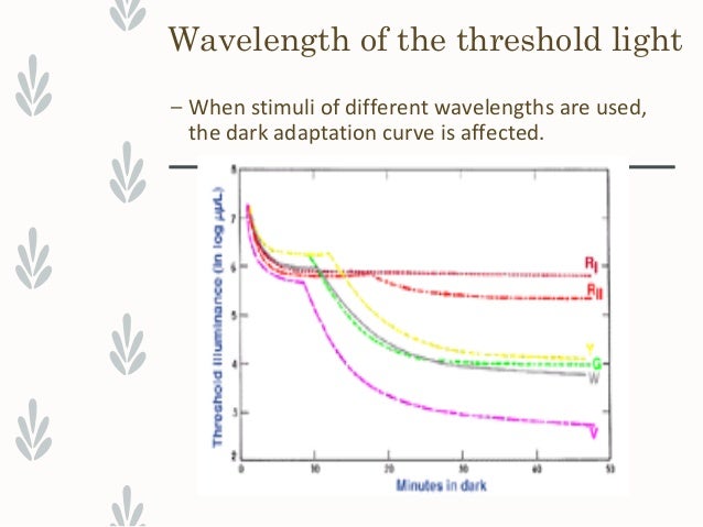 Glare testing and dark adaptation