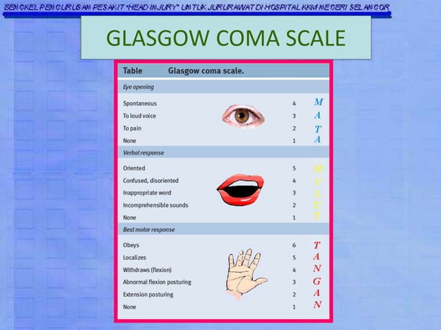 Glasco Coma Scale.ppt