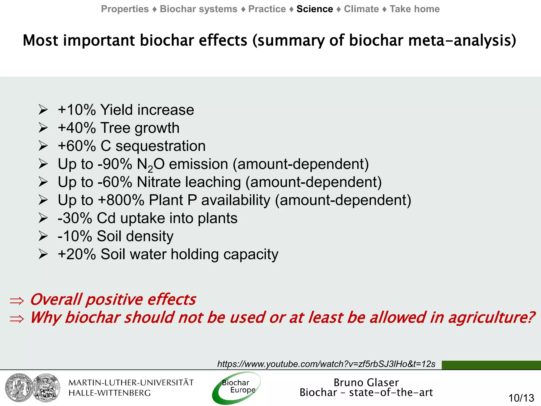 Biochar - State of the Art | PDF