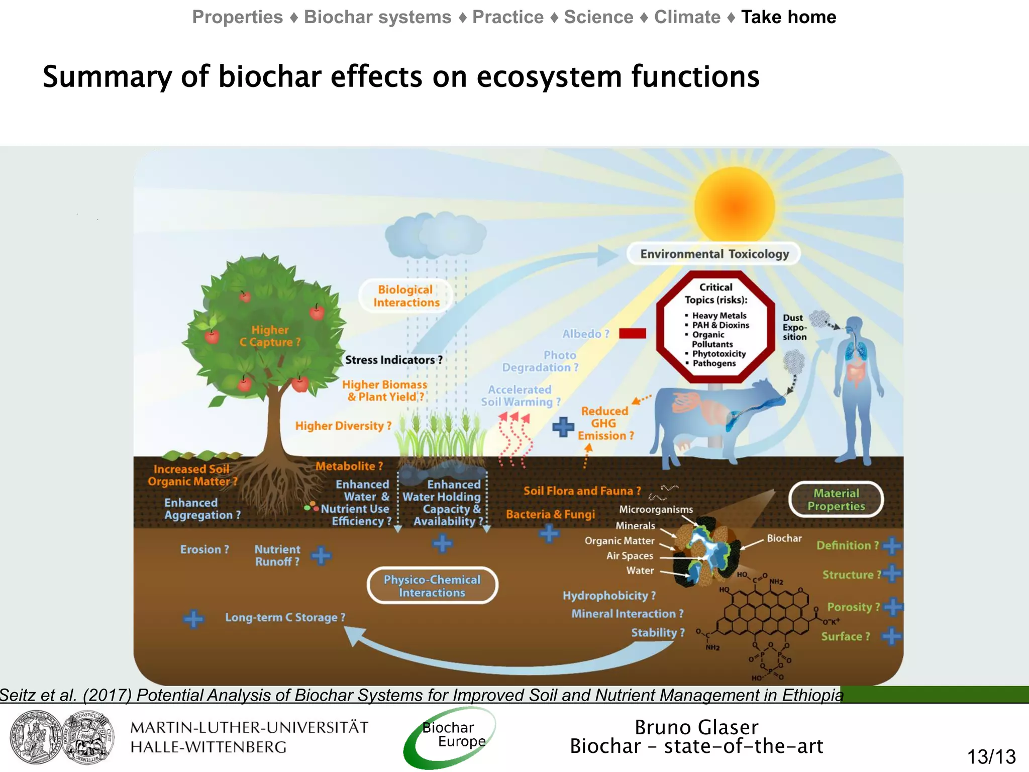 Biochar - State of the Art | PDF