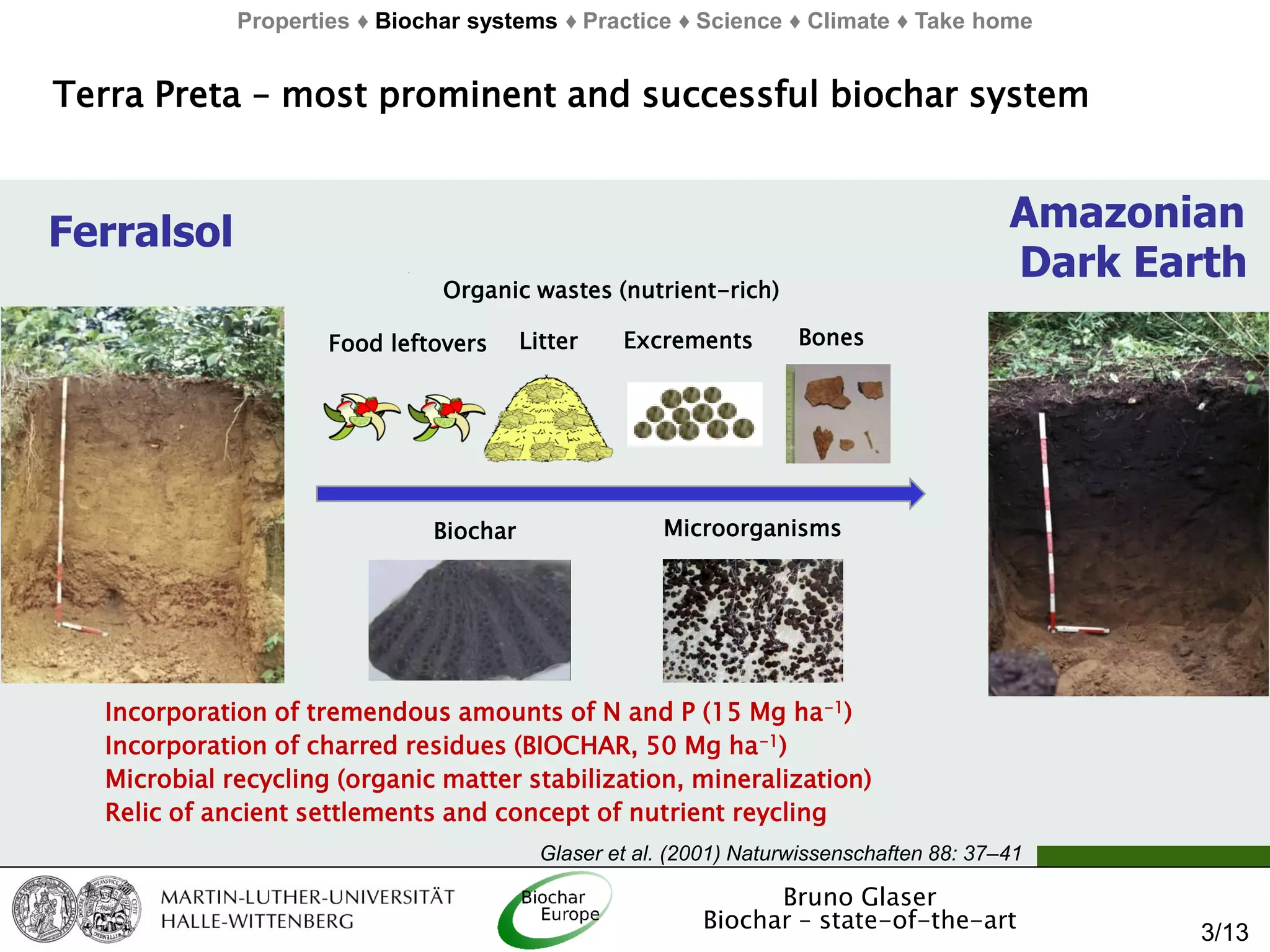 Biochar - State of the Art | PDF