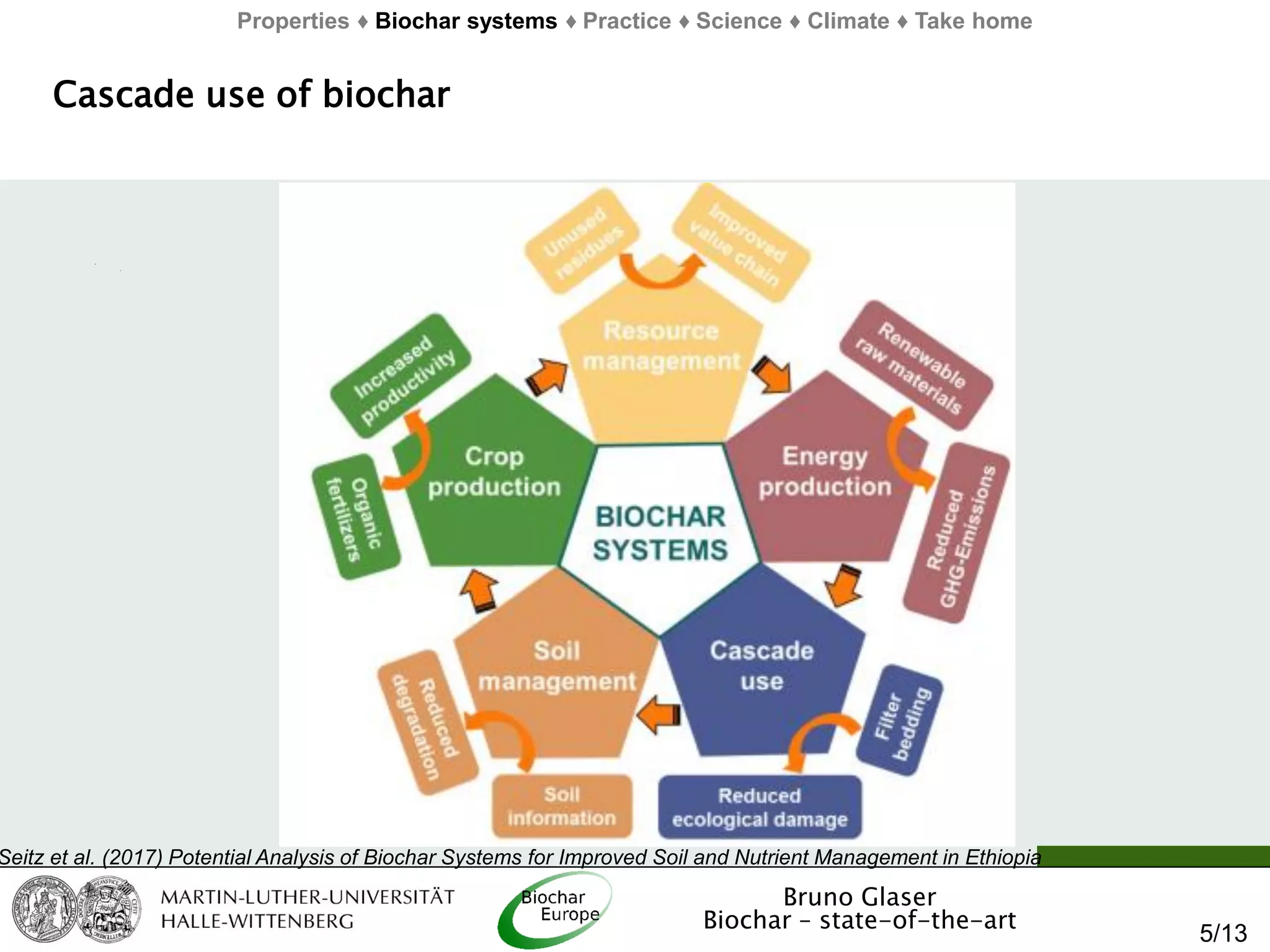 Biochar - State of the Art | PDF