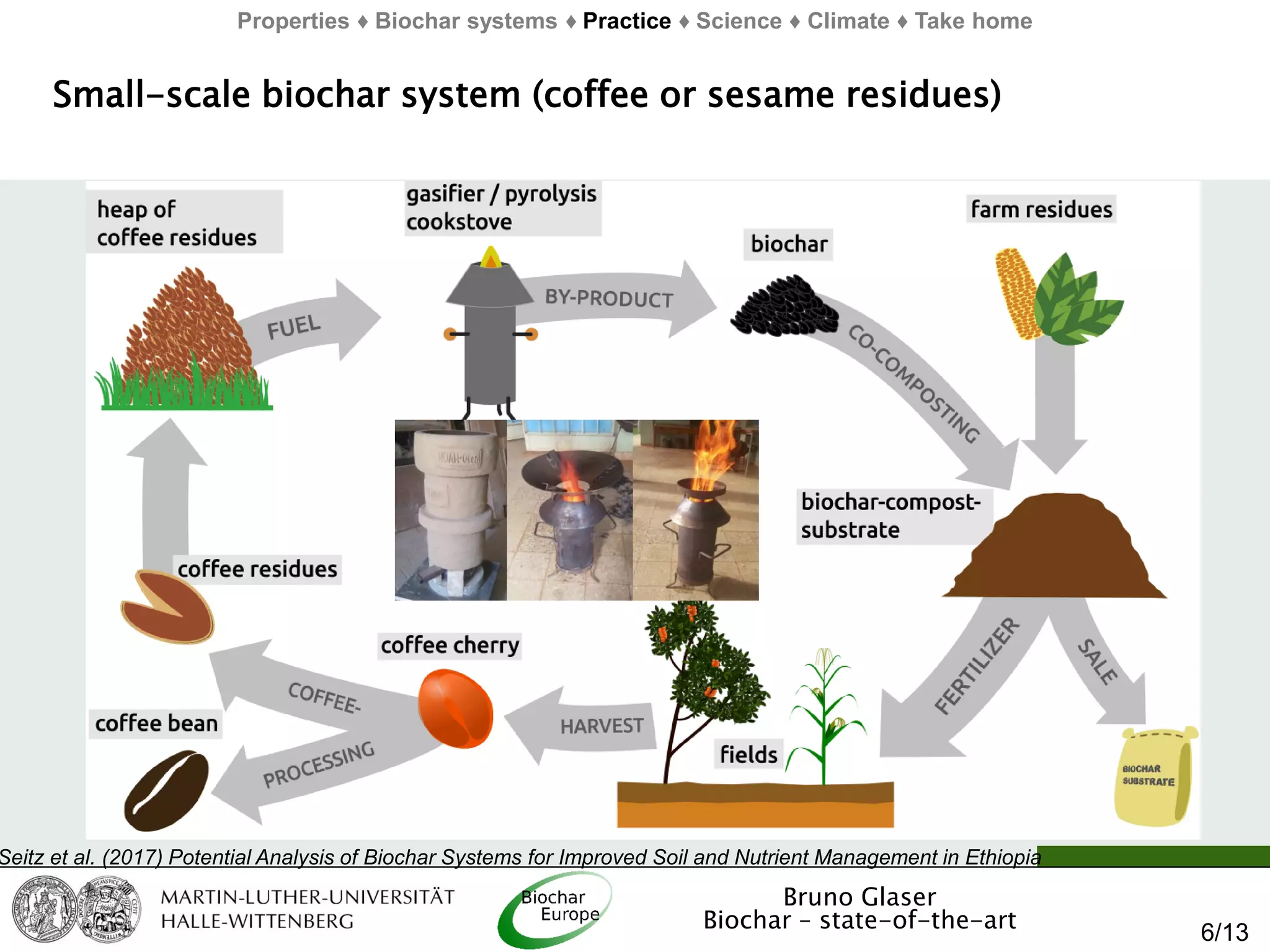 Biochar - State of the Art | PDF