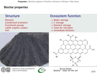 Biochar - State of the Art | PDF