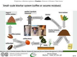 Biochar - State of the Art | PDF