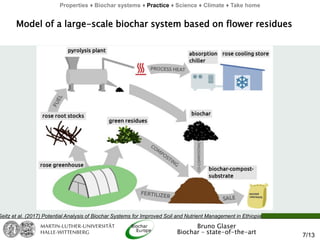 Biochar - State of the Art | PDF