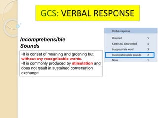Glasgow Coma Scale Presentation | PPTX