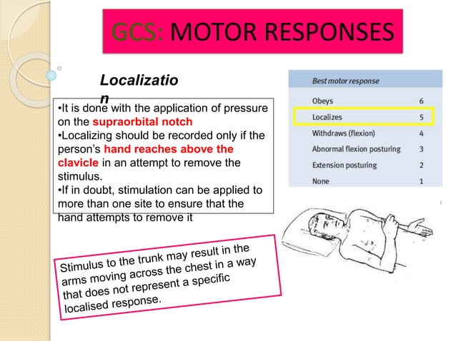 Glasgow Coma Scale Presentation | PPTX | Death, Injury, or Military Conflict | Sensitive Topics