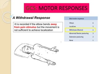 Glasgow Coma Scale Presentation | PPTX