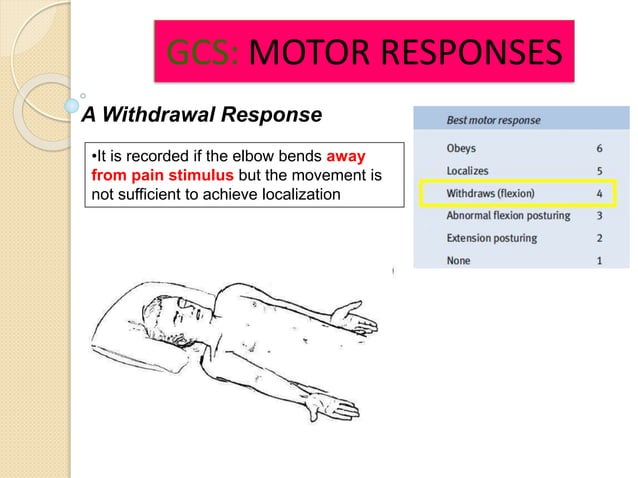 Glasgow Coma Scale Presentation | PPTX | Death, Injury, or Military Conflict | Sensitive Topics