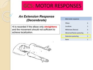 Glasgow Coma Scale Presentation | PPTX