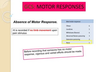 Glasgow Coma Scale Presentation | PPTX