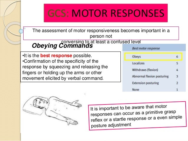 Modified Glasgow Coma Scale for Infants and Children – DR. TRYNAADH