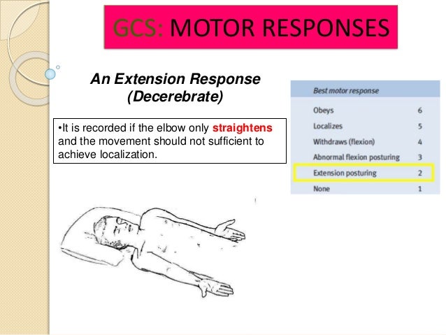Modified Glasgow Coma Scale for Infants and Children – DR. TRYNAADH