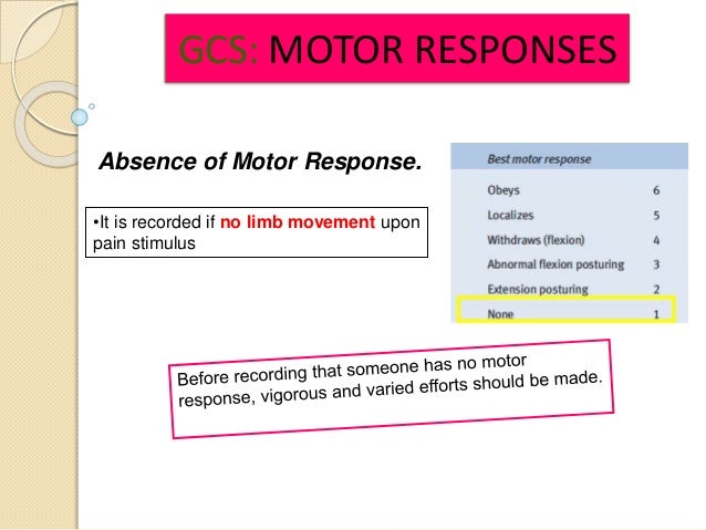 Modified Glasgow Coma Scale for Infants and Children – DR. TRYNAADH