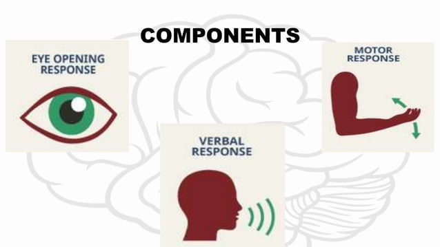 Glasgow coma scale | PPTX