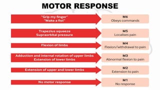 Glasgow coma scale | PPTX