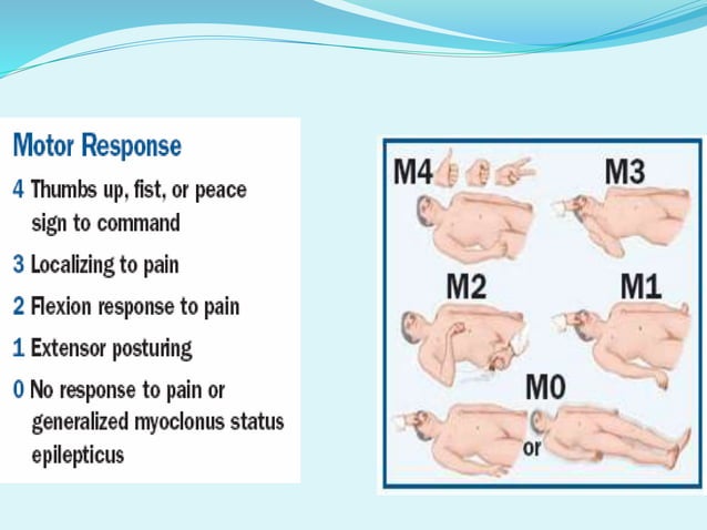 Glasgow coma scale evaluation and clinical considerations | PPTX | Death, Injury, or Military ...