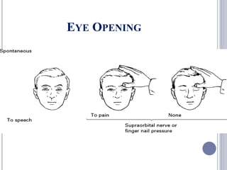 GLASGOW COMA SCALE-P.pptx