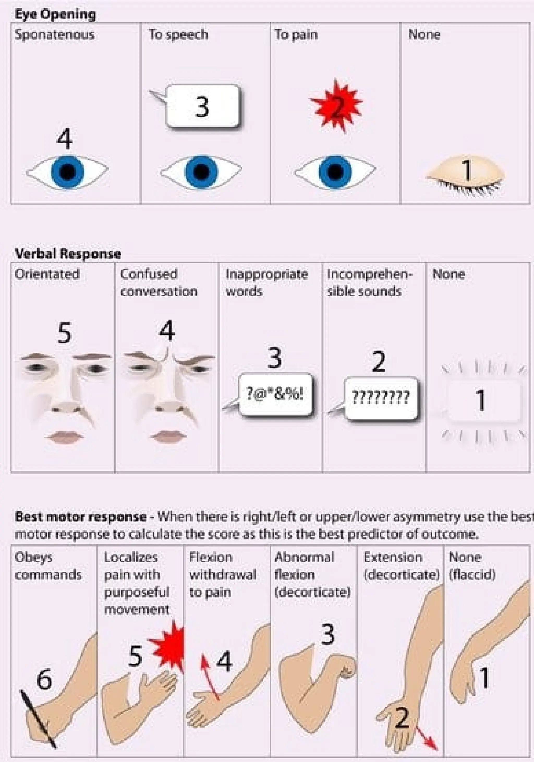 Glasgow Coma Scale Flow Chart to determin the severity of head injury.pdf
