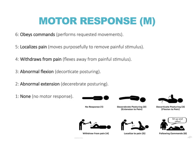 Glasgow Coma Scale (GCS) Presentation... | PPTX