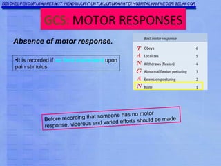 Glasgow Coma Scale | PPT
