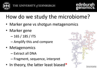 Studying the microbiome | PPT