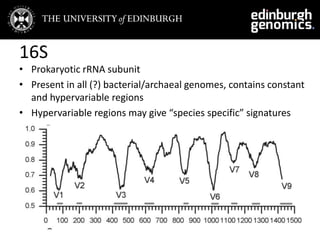 Studying the microbiome | PPT