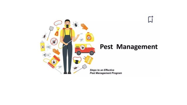 Glass Breakage Control.pptxfffffffffffffffffff | PPTX