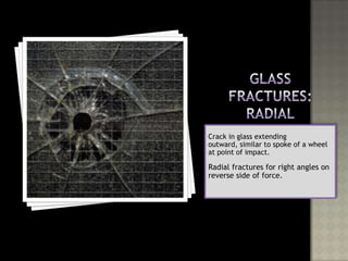 Glass.Evidence | PPTX
