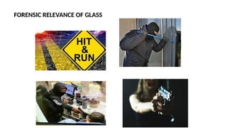 Glass Evidence- Importance and Examination.pptx