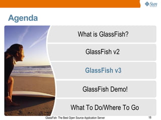 Glass Fish Slides Fy2009 2 | ODP