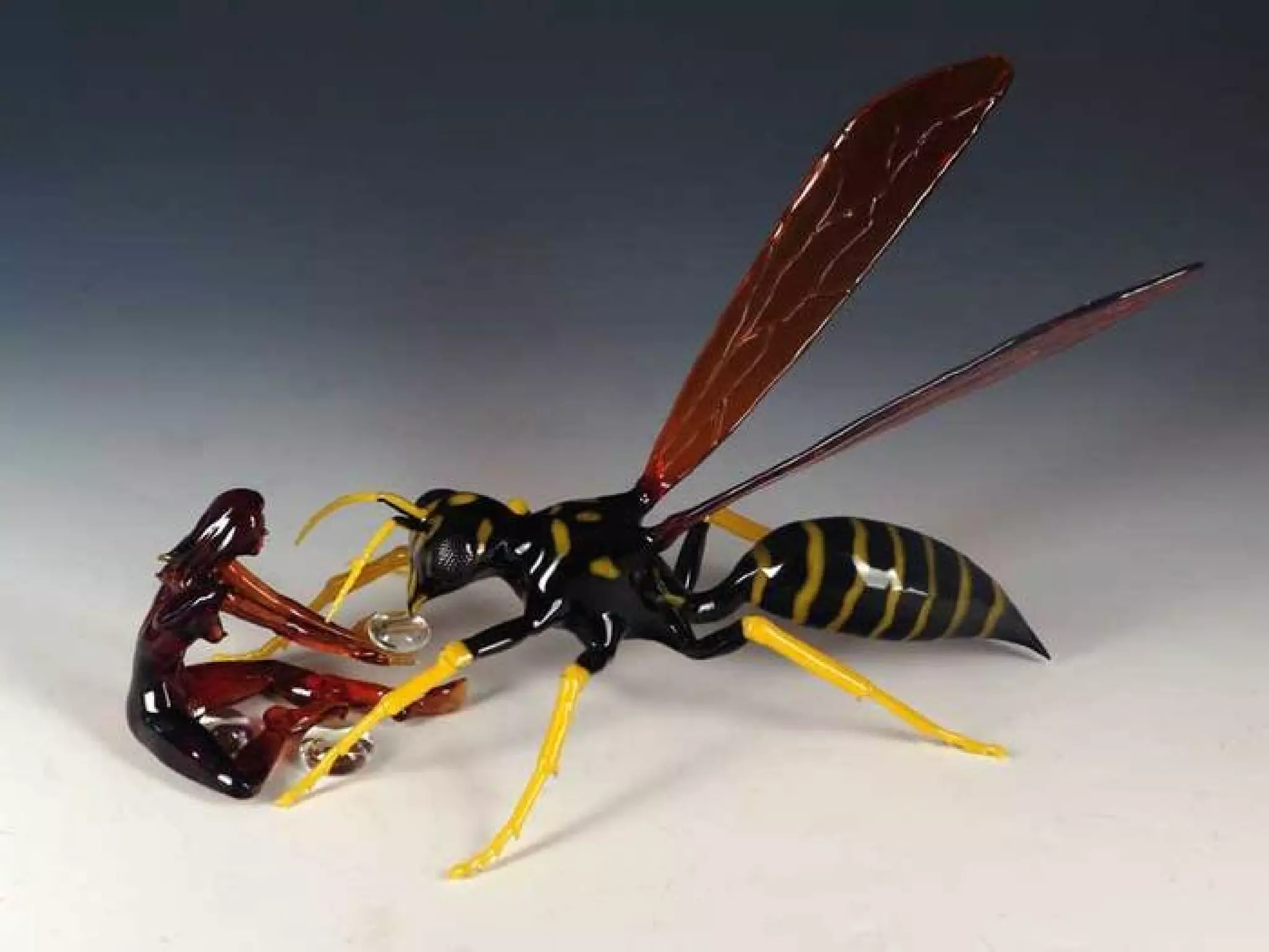 Glass robert mickelsen-- | PPS