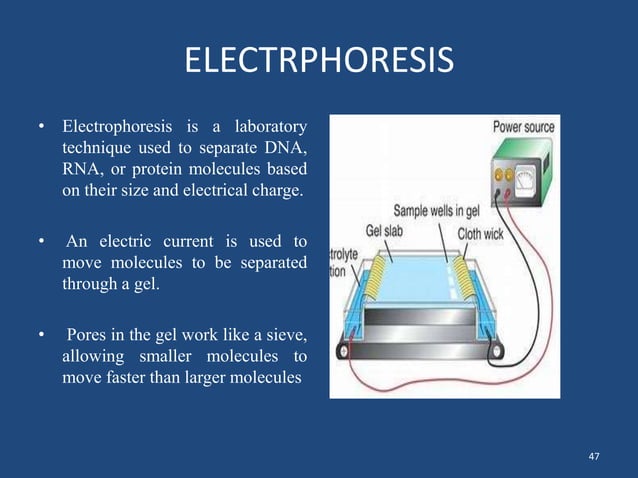 Glassware and laboratory equipment, biochemistry by Dr. Anurag Yadav | PPTX