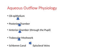 glaucoma diploma class presentation-1.pptx
