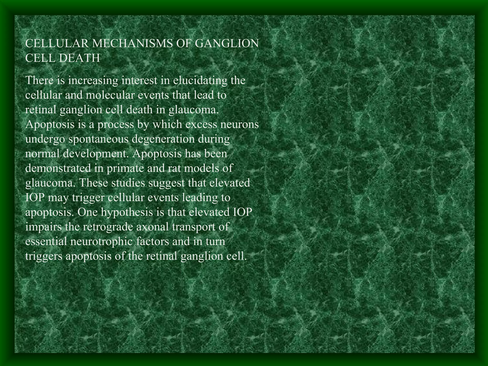 Glaucoma | PPT | Eye and Vision Conditions | Diseases and Conditions