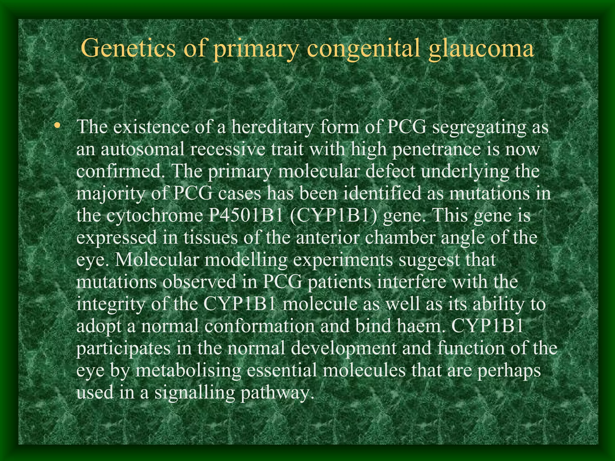 Glaucoma | PPT | Eye and Vision Conditions | Diseases and Conditions