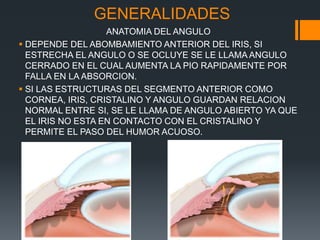 Glaucoma generalidades | PPTX