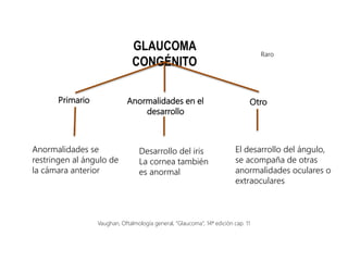 GLAUCOMA clasificación y fisiopatología | PPTX
