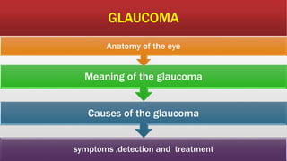 Glaucoma | PPT